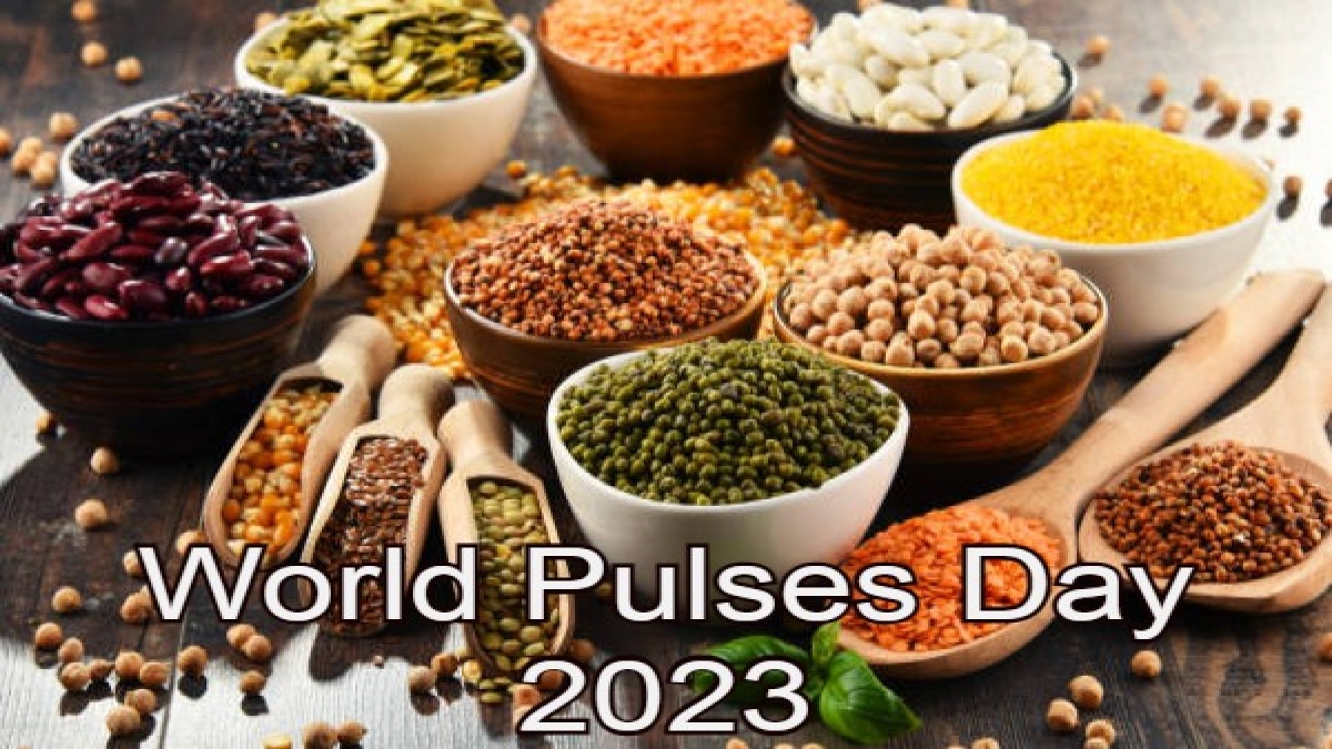 विश्व दलहन दिवस 10 फरवरी को क्यों मनाया जाता है | World Pulses Day 2023 ...
