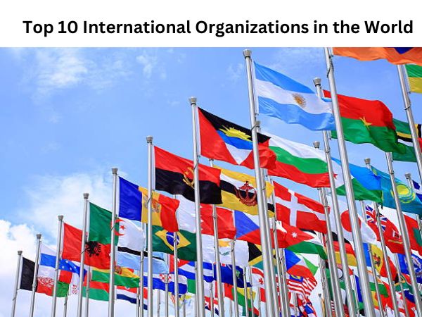 ये हैं दुनिया के 10 सर्वश्रेष्ठ अंतर्राष्ट्रीय संगठन (Top 10 ...